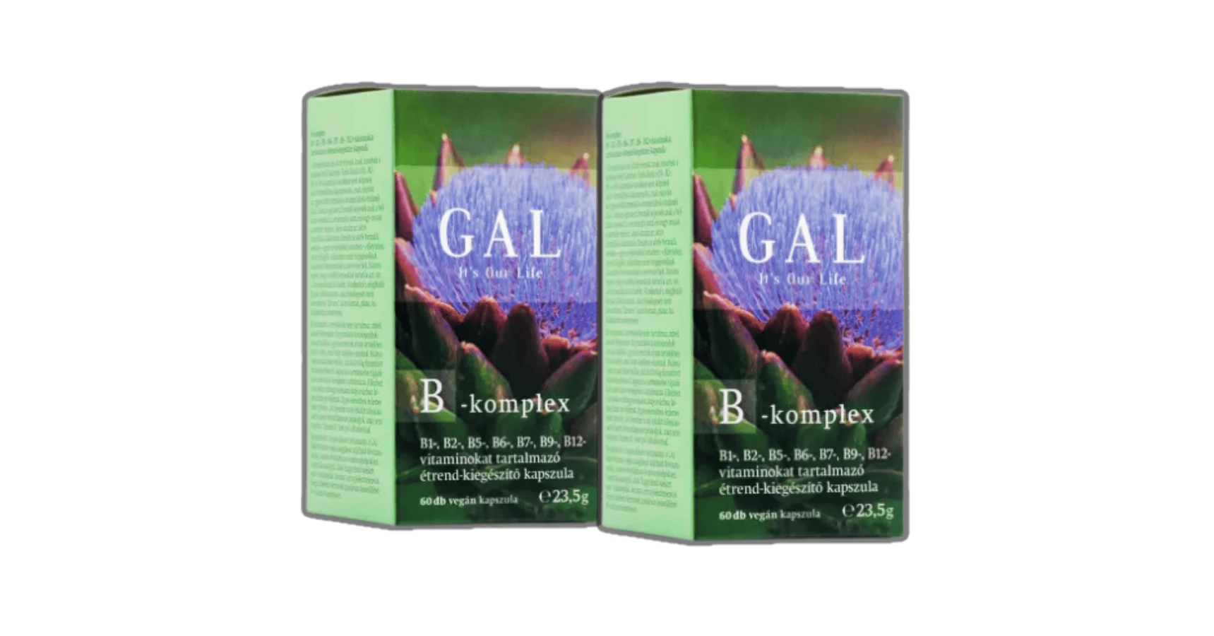 GAL B-komplex DUO 2X60 db - Natur Reform
