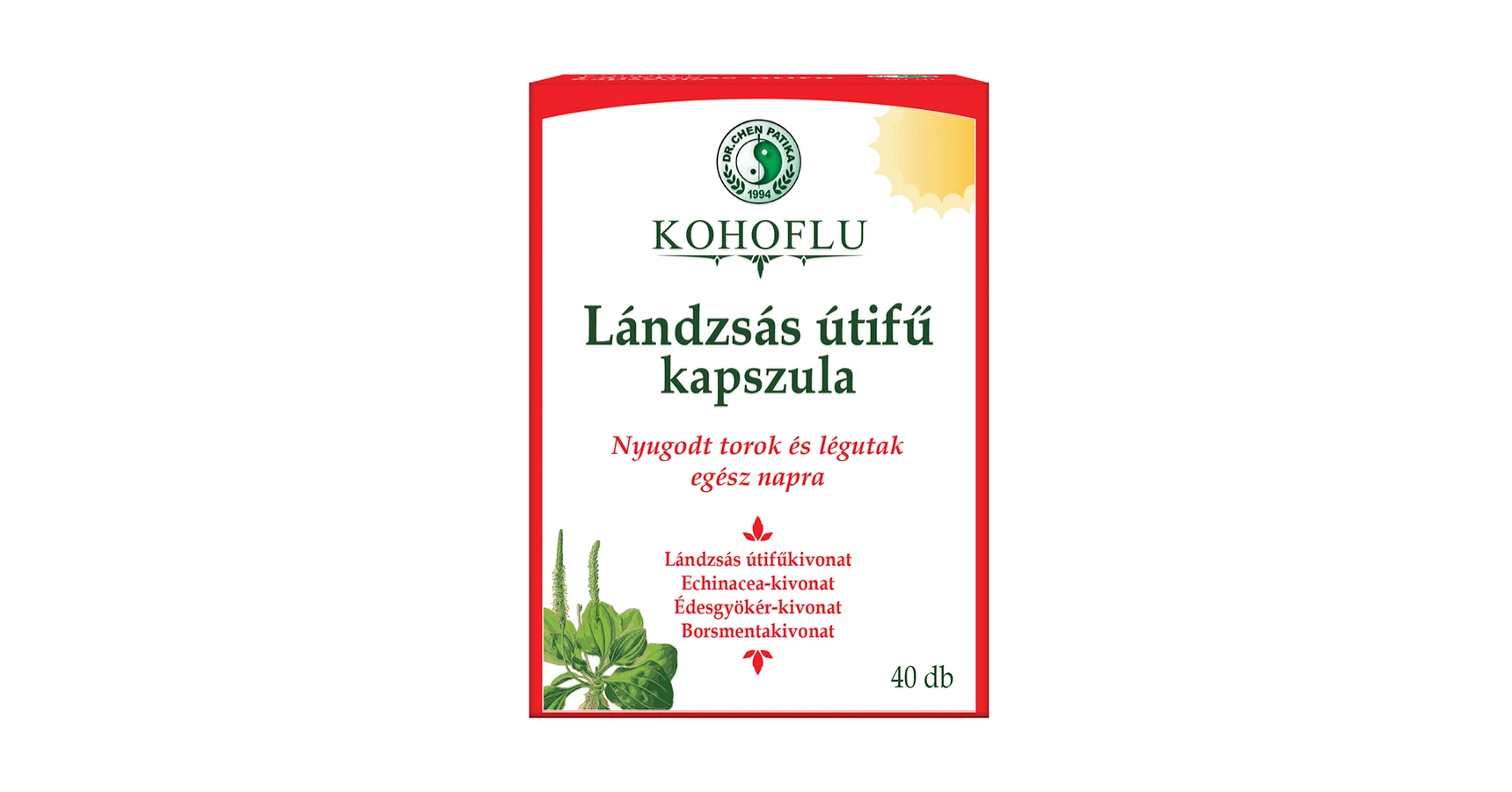 Dr. Chen Kohoflu lándzsás útifű kapszula - nappal – 40 db - Natur Reform